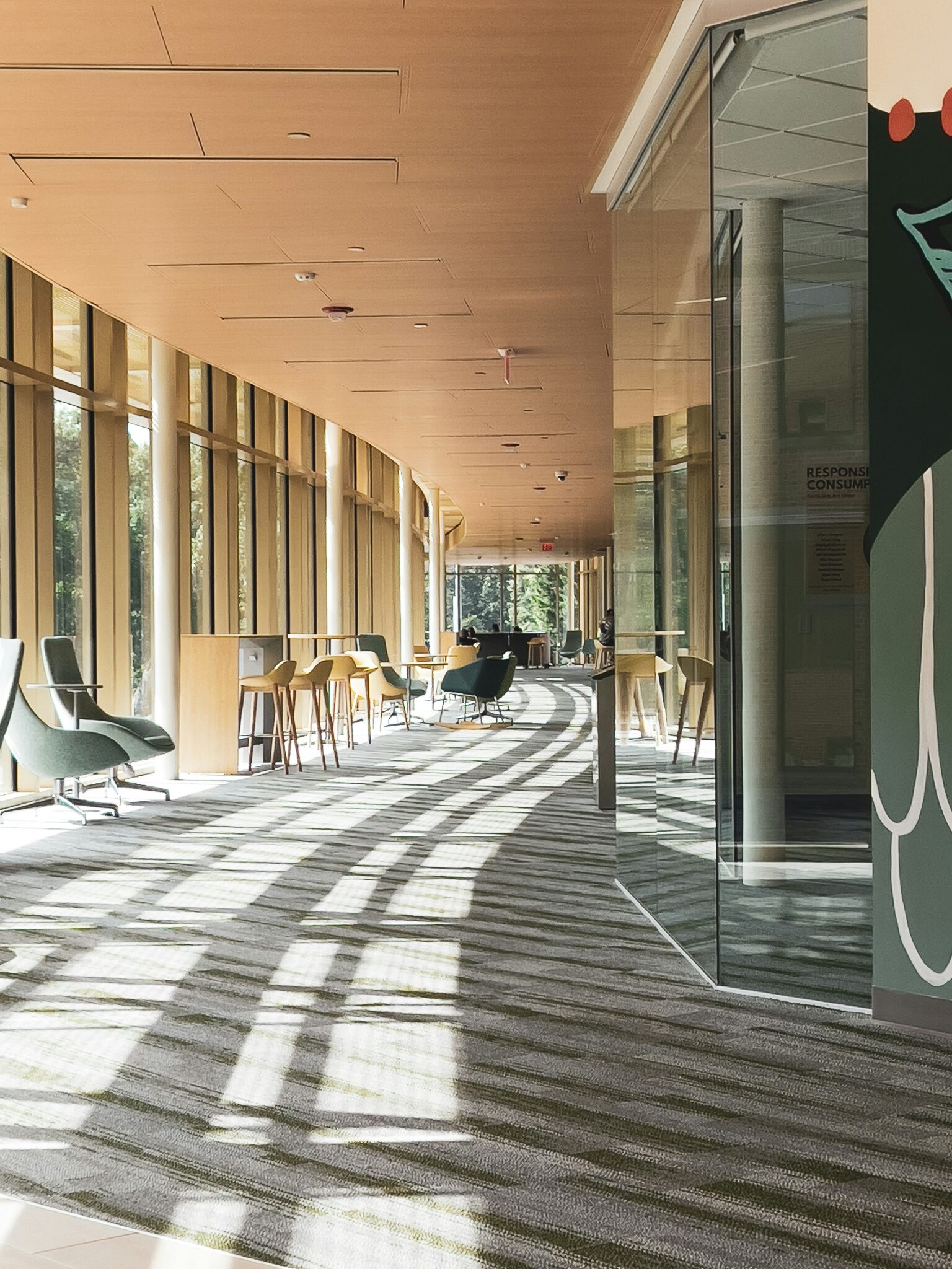 Why Natural Light Beats Every Other Amenity (And How to Maximize It ...